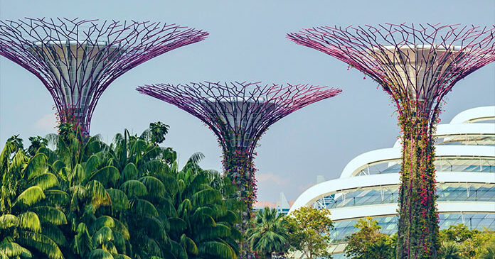 Singapore | Dave Clark | Digital Brand & Marketing |… | Dave Clark